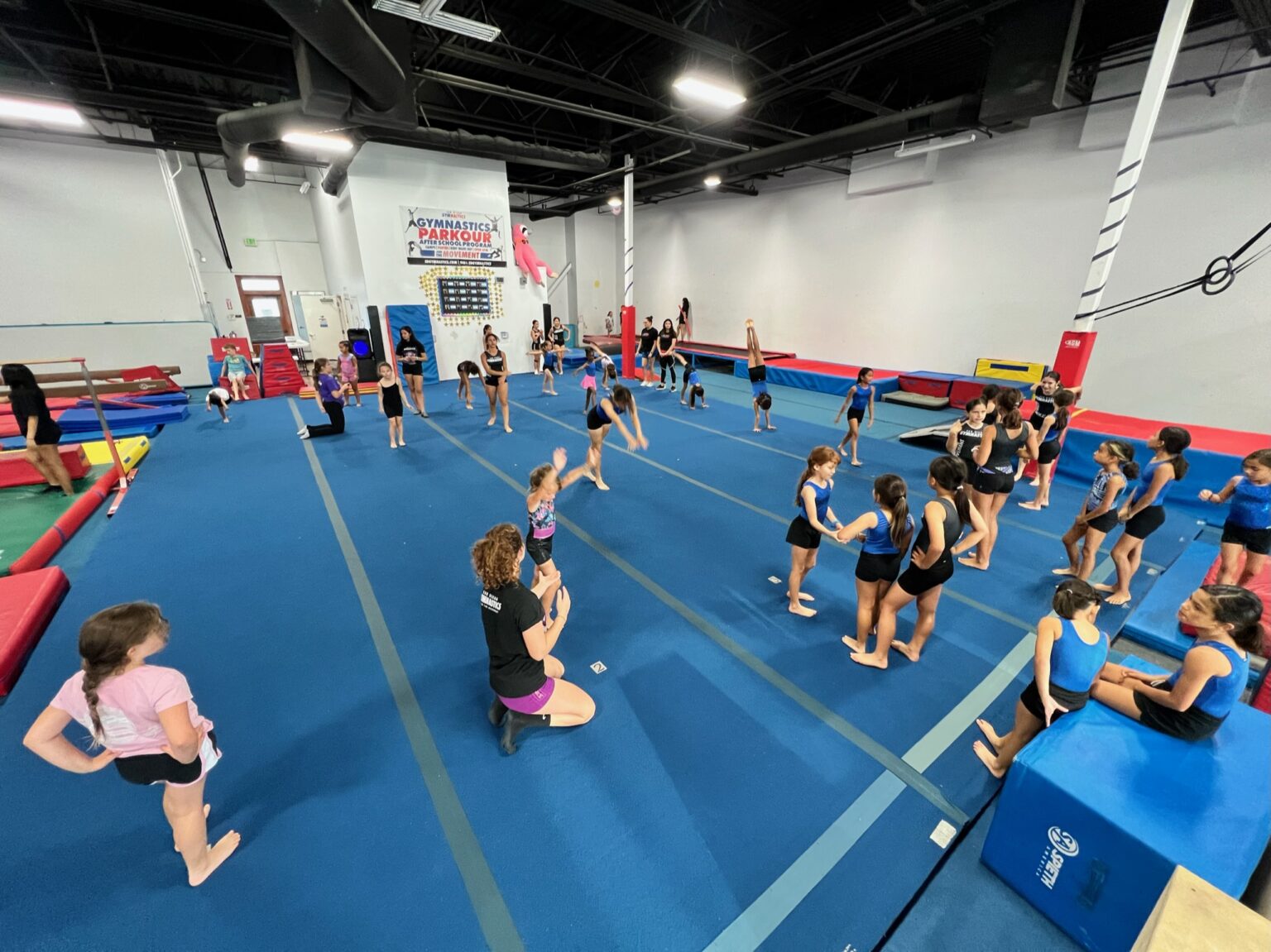 Gymnastics Franchise Archives - GForce Gymnastics & Parkour